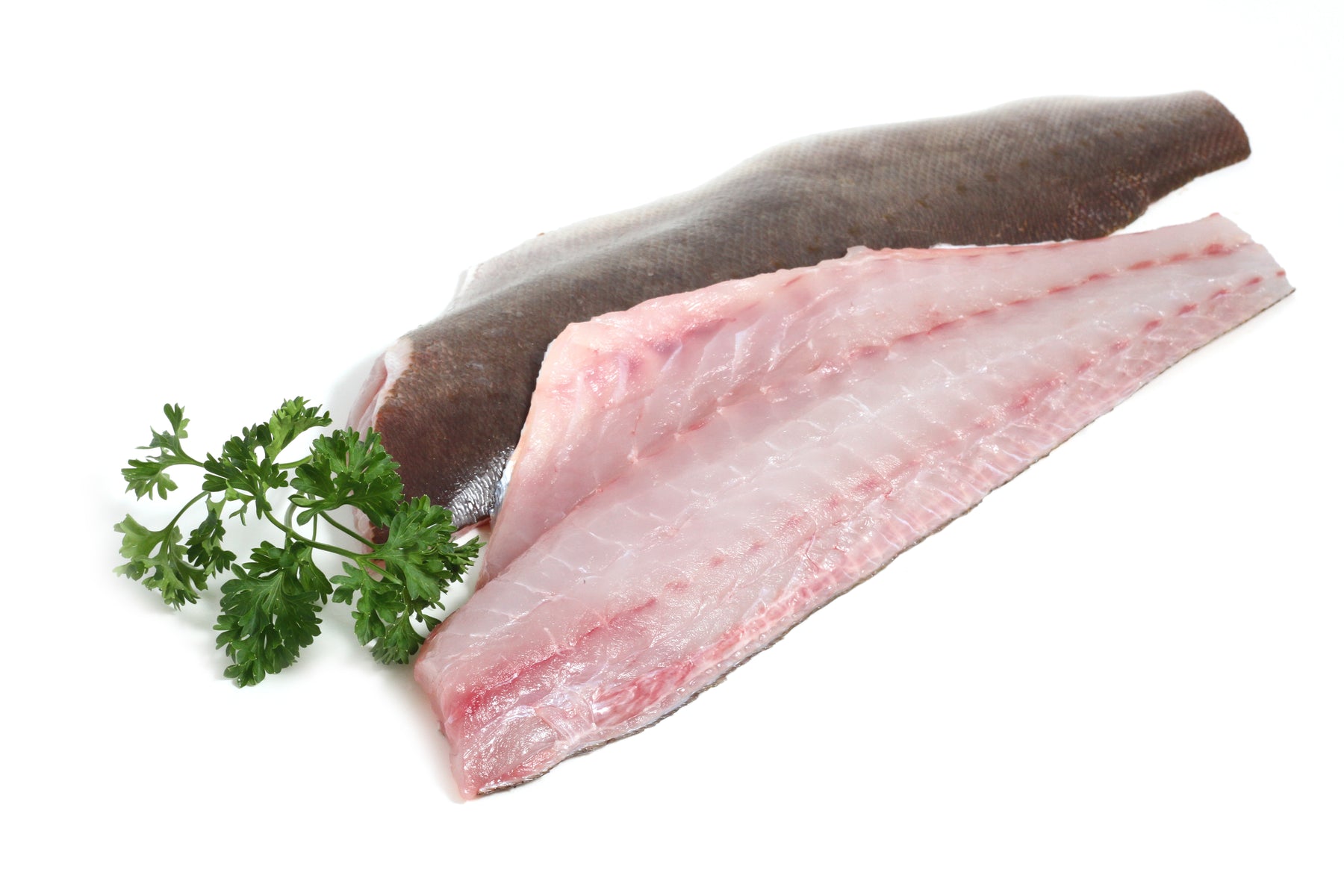 buy fresh fish online – Santa Barbara Fish Market