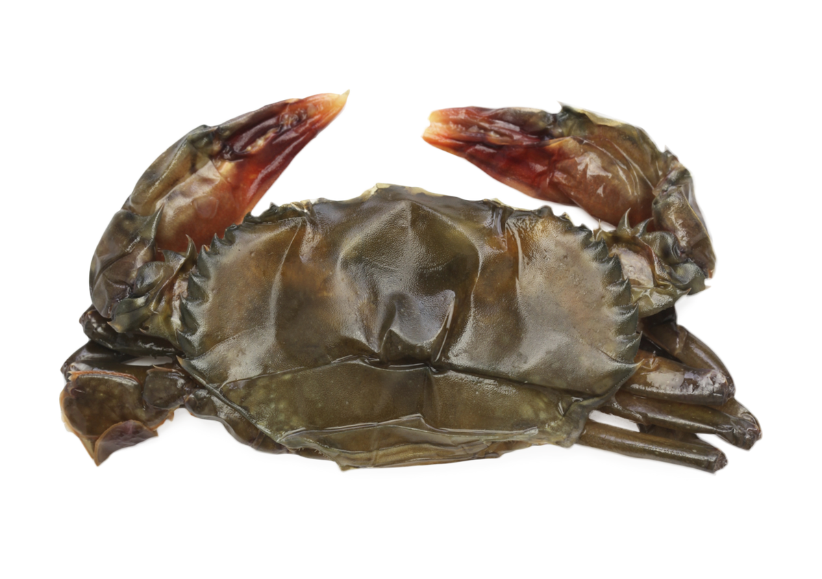 Soft Shell Crab (Jumbo) – Santa Barbara Fish Market